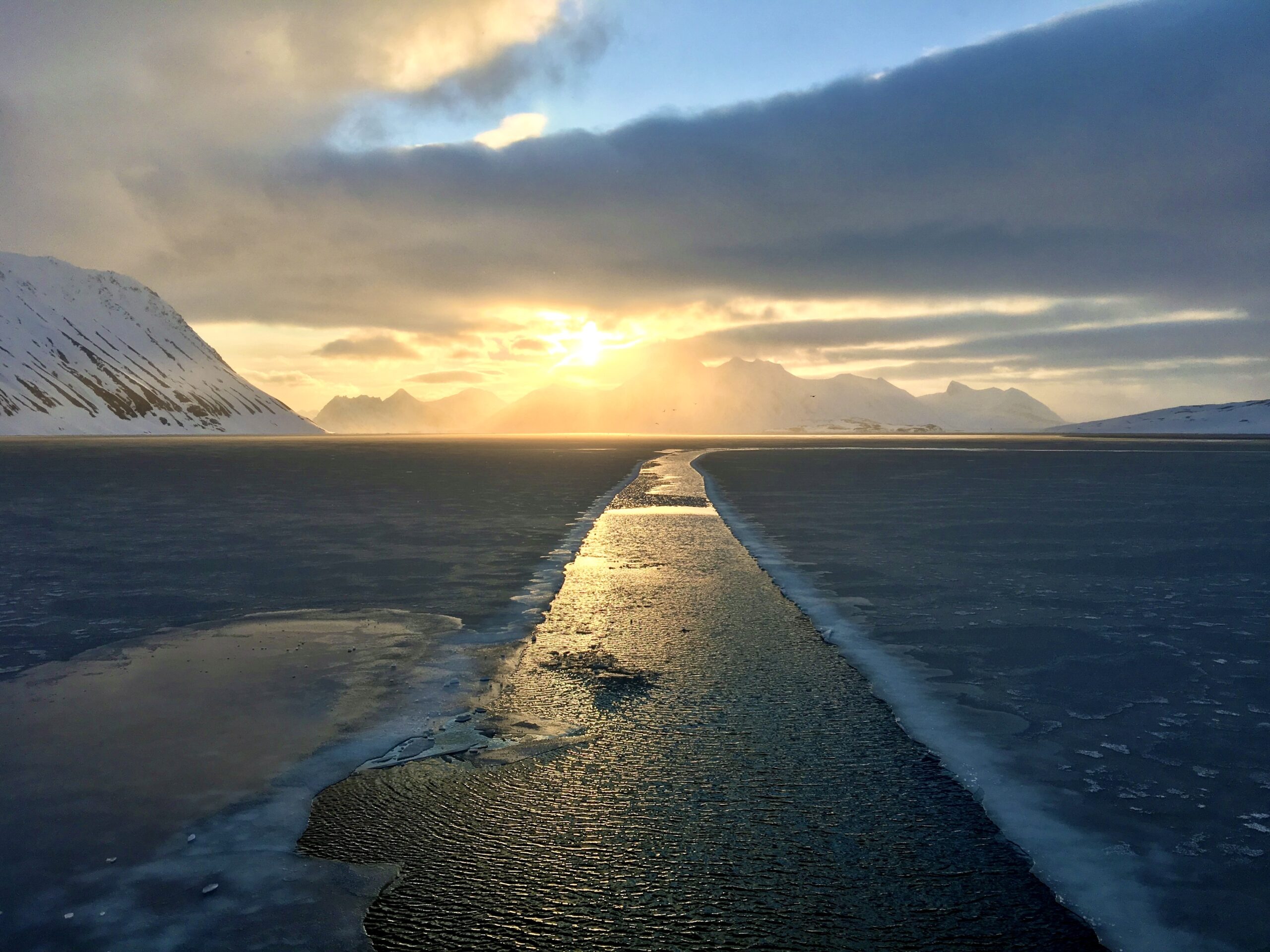 Sea Legacy – Adventure Filmmaking & Environmental Storytelling