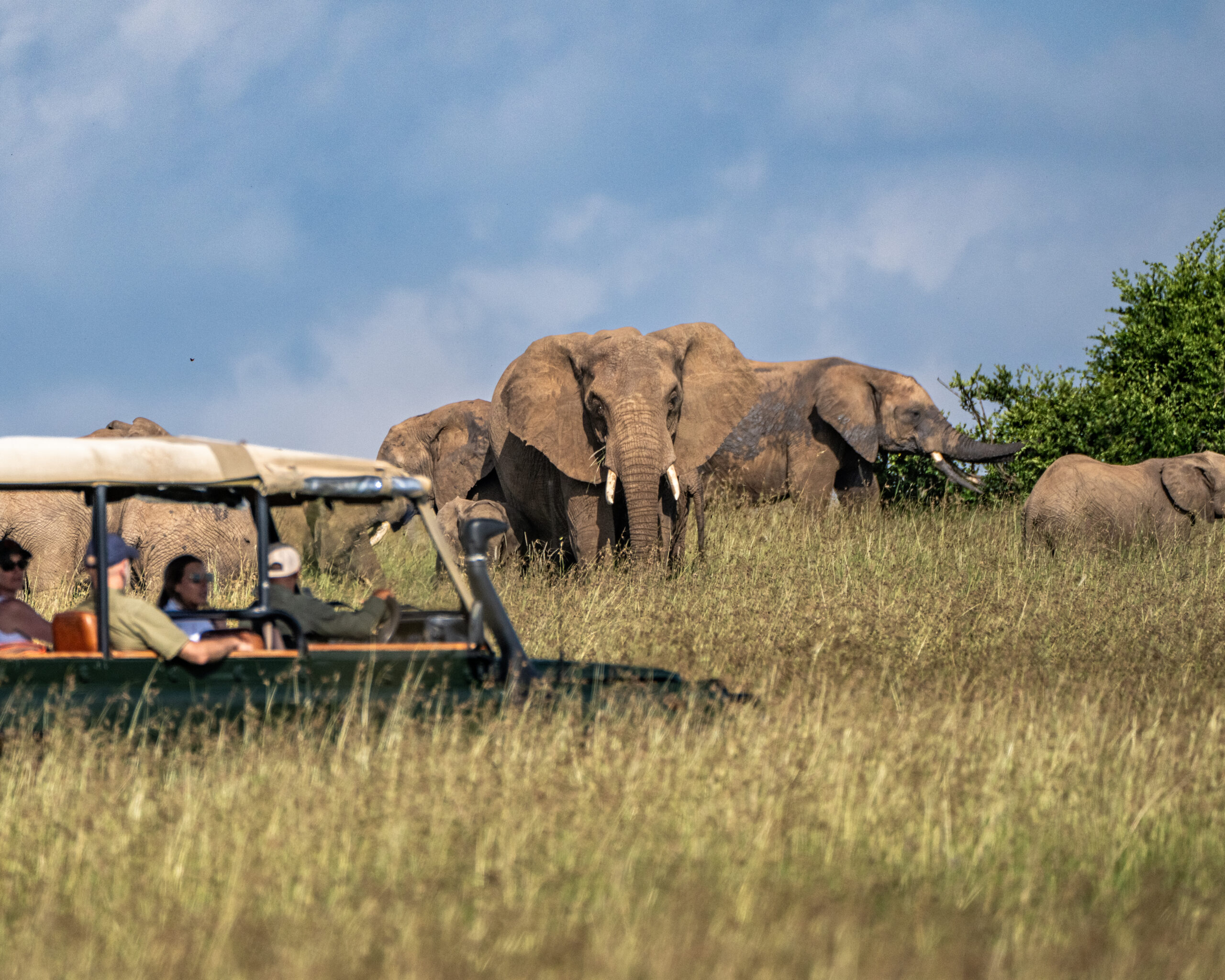 Kenya Adventure Documentary | Outdoor Filmmaking & Storytelling